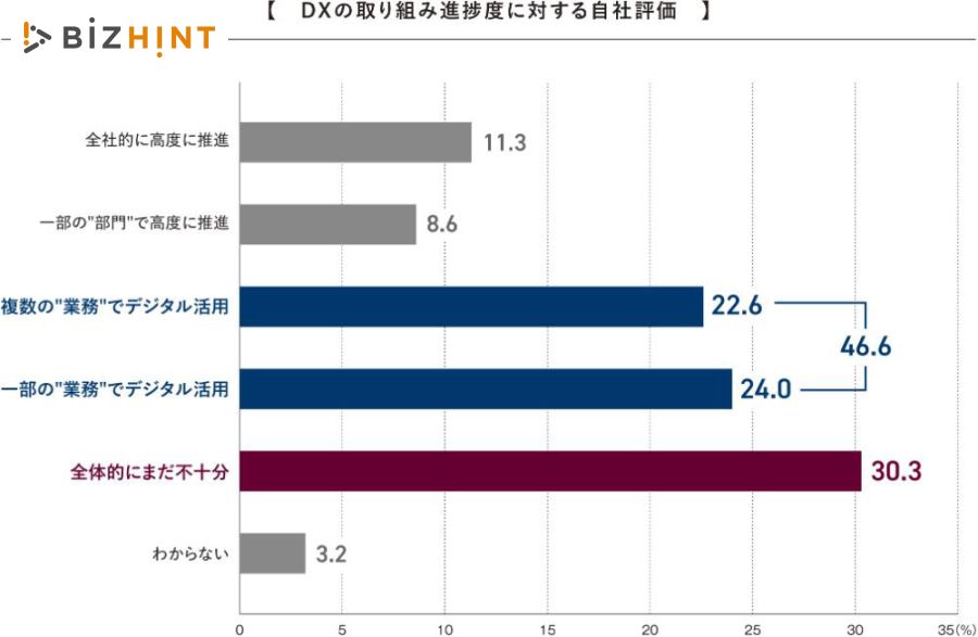 DX戦略の推進状況、部門別のデジタル化は実現したが統一ビジョンはまだまだ途上 | BizHint（ビズヒント）- クラウド活用と生産性向上の専門サイト